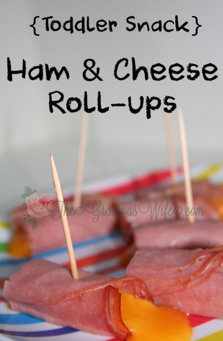 Toddler Snack Ideas - The Gracious Wife