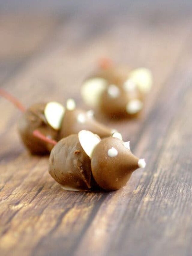Adorable Chocolate Cherry Christmas Mice Candy Recipe - The Gracious Wife