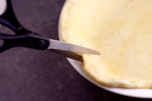 15 Pretty Ways to Finish Pie Crust Edges - The Gracious Wife