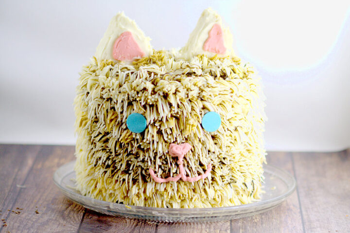 Kitty Cat Birthday Cake - The Gracious Wife