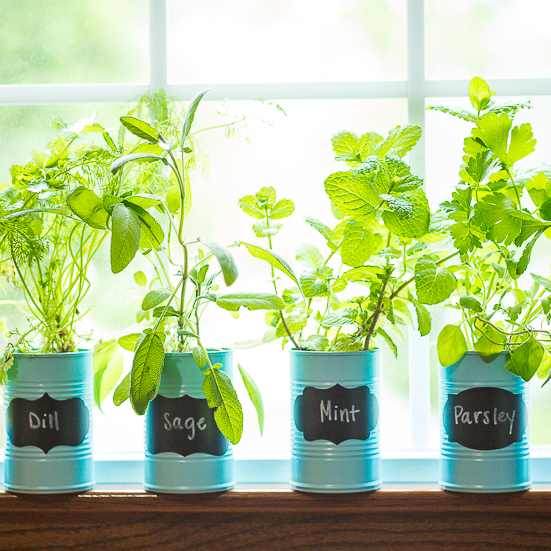 Diy Window Sill Planter