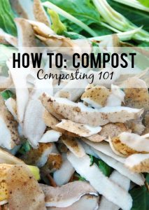 Composting Basics to Get Started | How to Compost