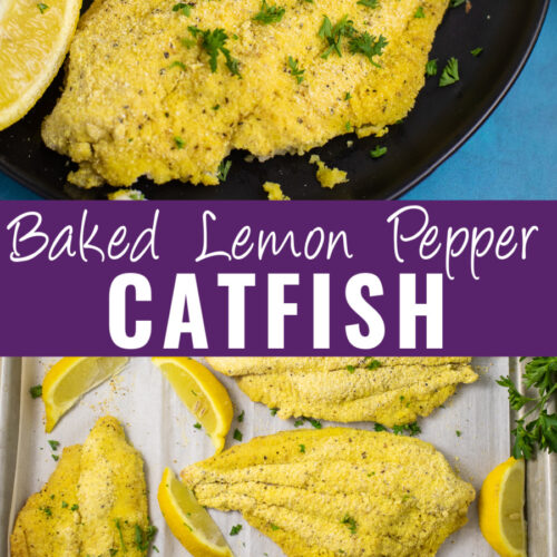 Lemon Pepper Baked Catfish Recipe | The Gracious Wife