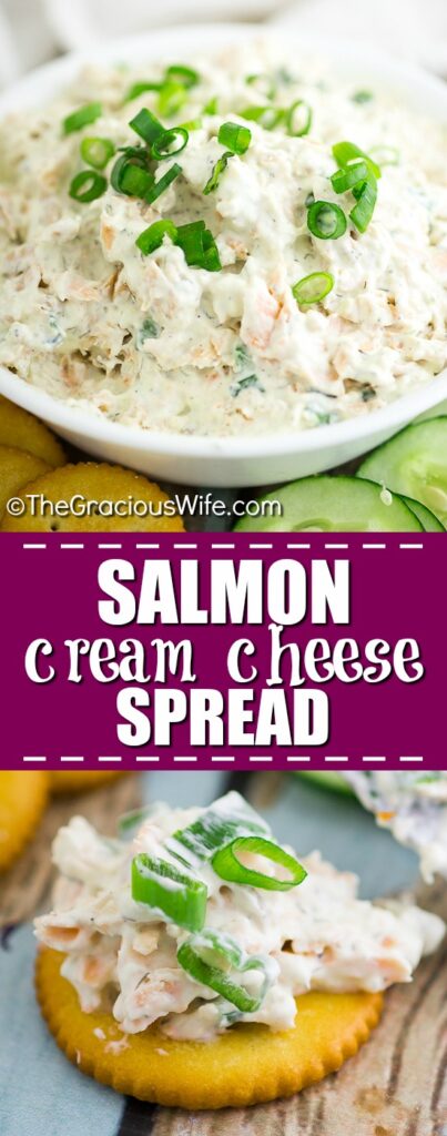 Salmon Cream Cheese Spread Recipe | The Gracious Wife
