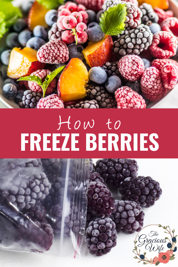 How to Freeze Berries - The Gracious Wife