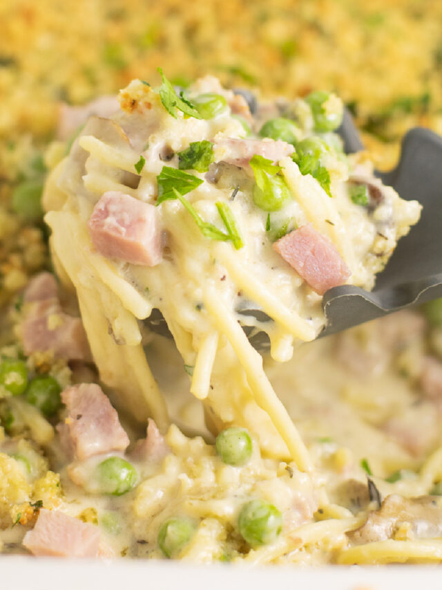 Cheesy Ham Tetrazzini: Perfect Leftover Ham Recipe! - The Gracious Wife