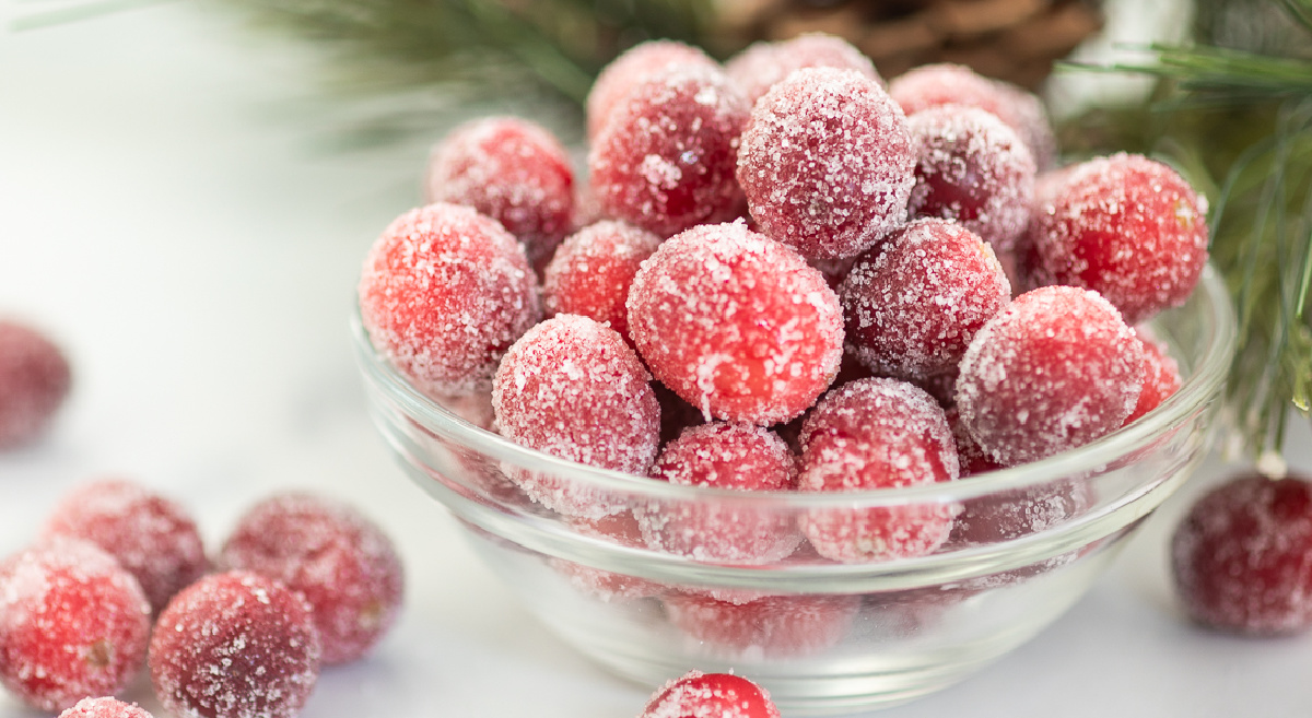 Sugared Cranberries - The Gracious Wife