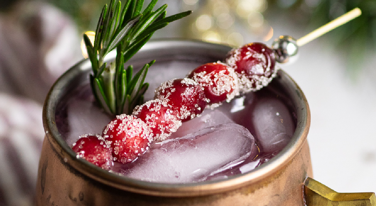 Festive Cranberry Moscow Mule Perfect for Holiday Cheers - The Gracious ...